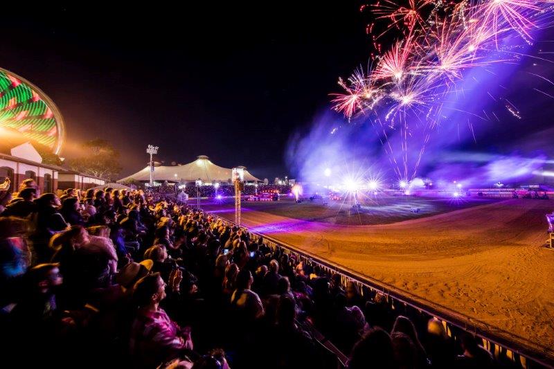 Cows and Goats and Sheep - Oh My! - Hidden City Secrets