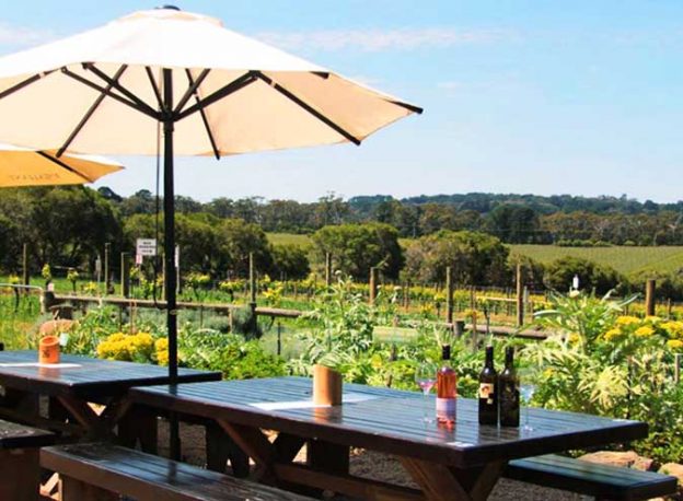 The Top 5 Wineries In The Mornington Peninsula You Need To Visit ...