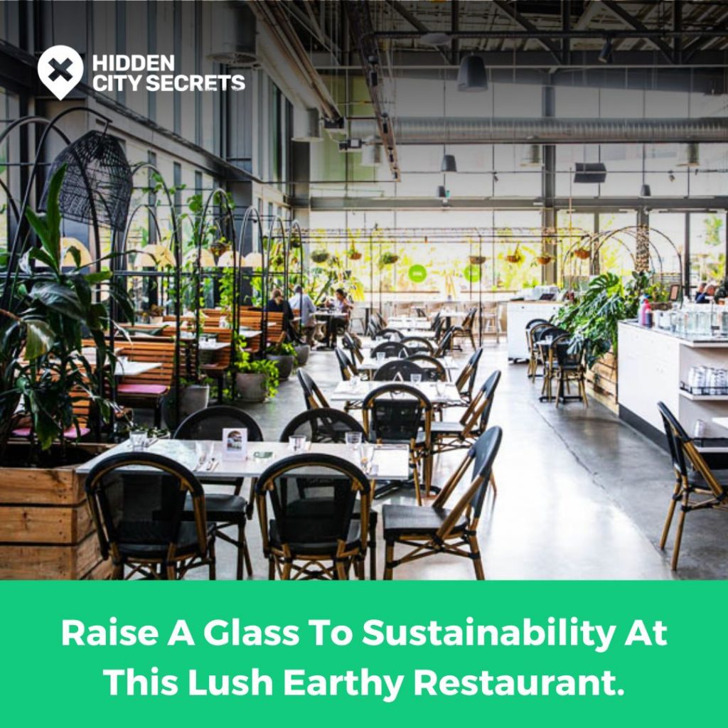 The Glasshouse Artarmon | General News | Hidden City Secrets